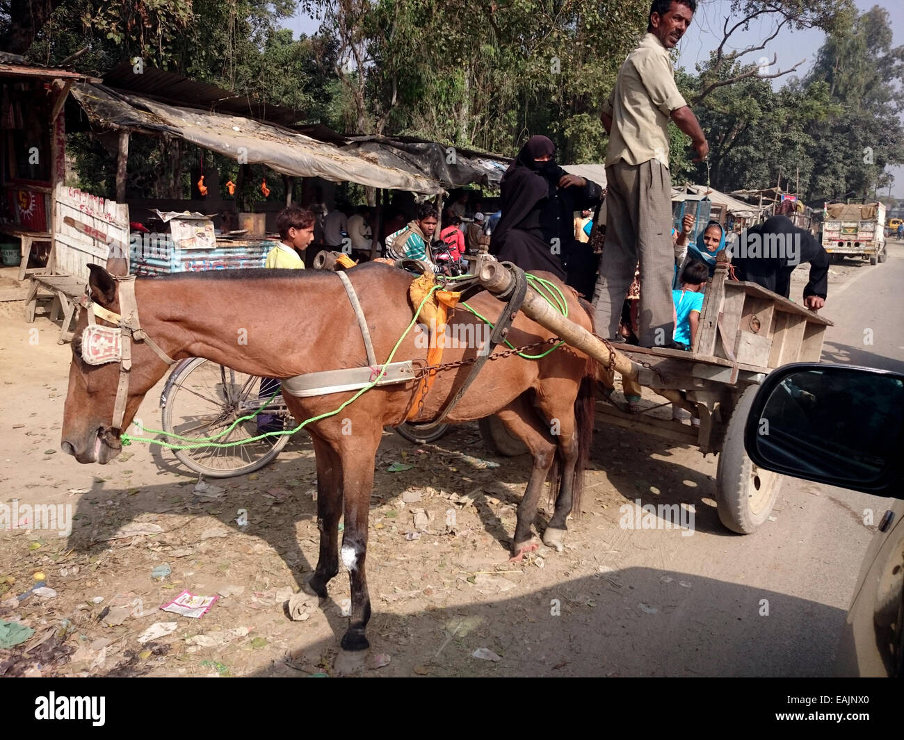 Horse Cart India High Resolution Stock Photography and Images - Alamy