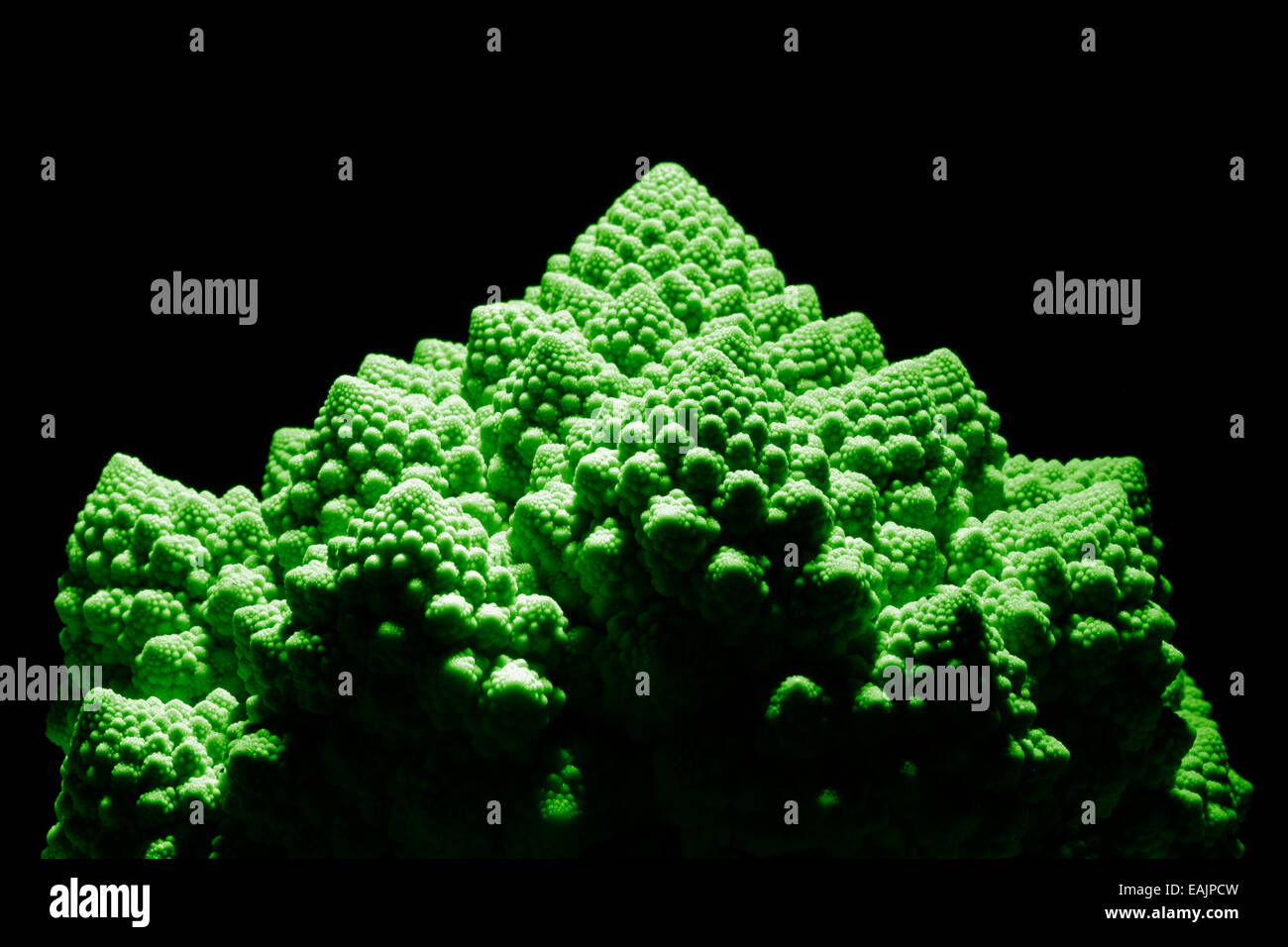 Lit from above hi-res stock photography and images - Alamy