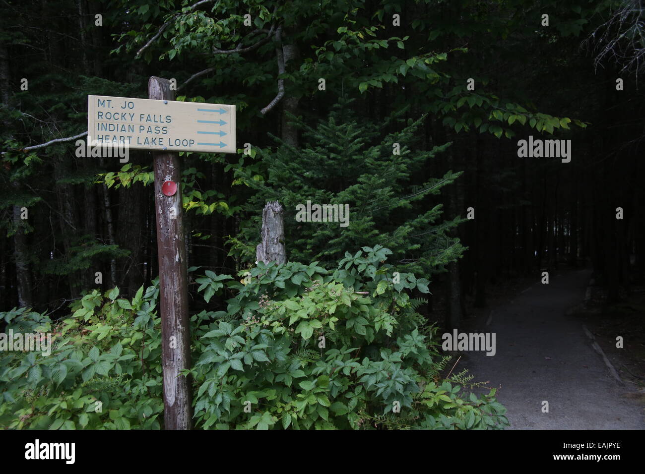 trail head sign for mt. jo in the adirondacks, ny photo by jen lombardo ...