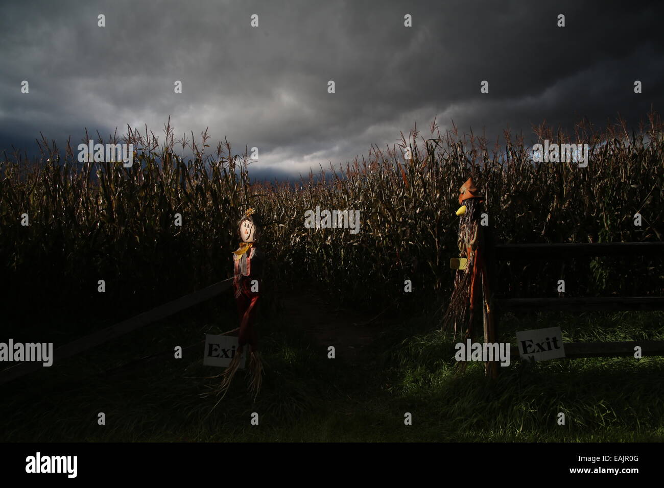 Dark maze hi-res stock photography and images - Alamy