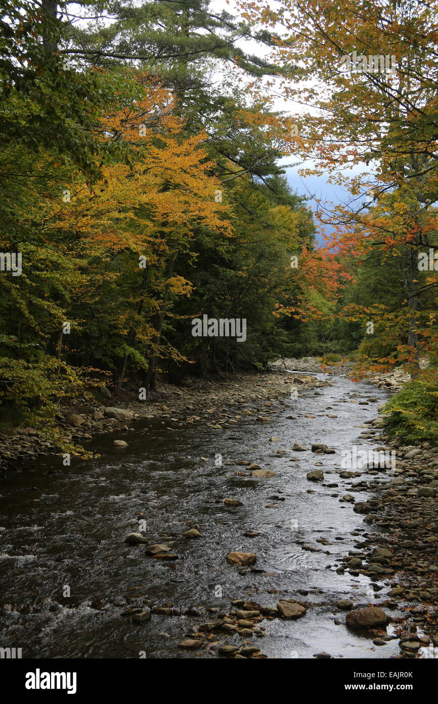 fall leaves in stowe, vermont Stock Photo - Alamy