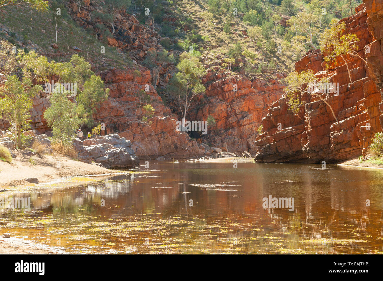 Waterhole in Ormiston Gorge, West MacDonnells, NT, Australia Stock ...