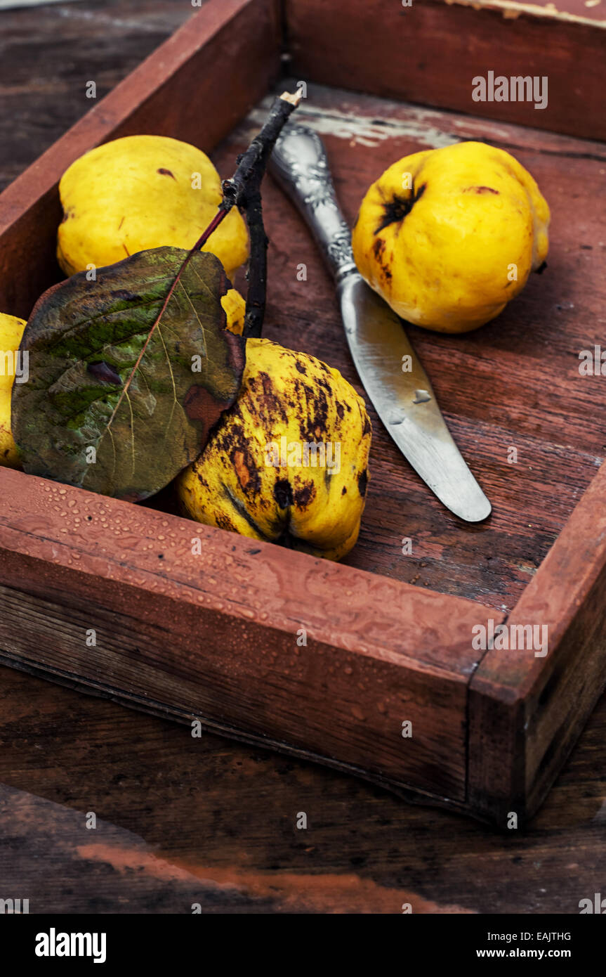 juicy,ripe quince fruit on wooden top Stock Photo - Alamy
