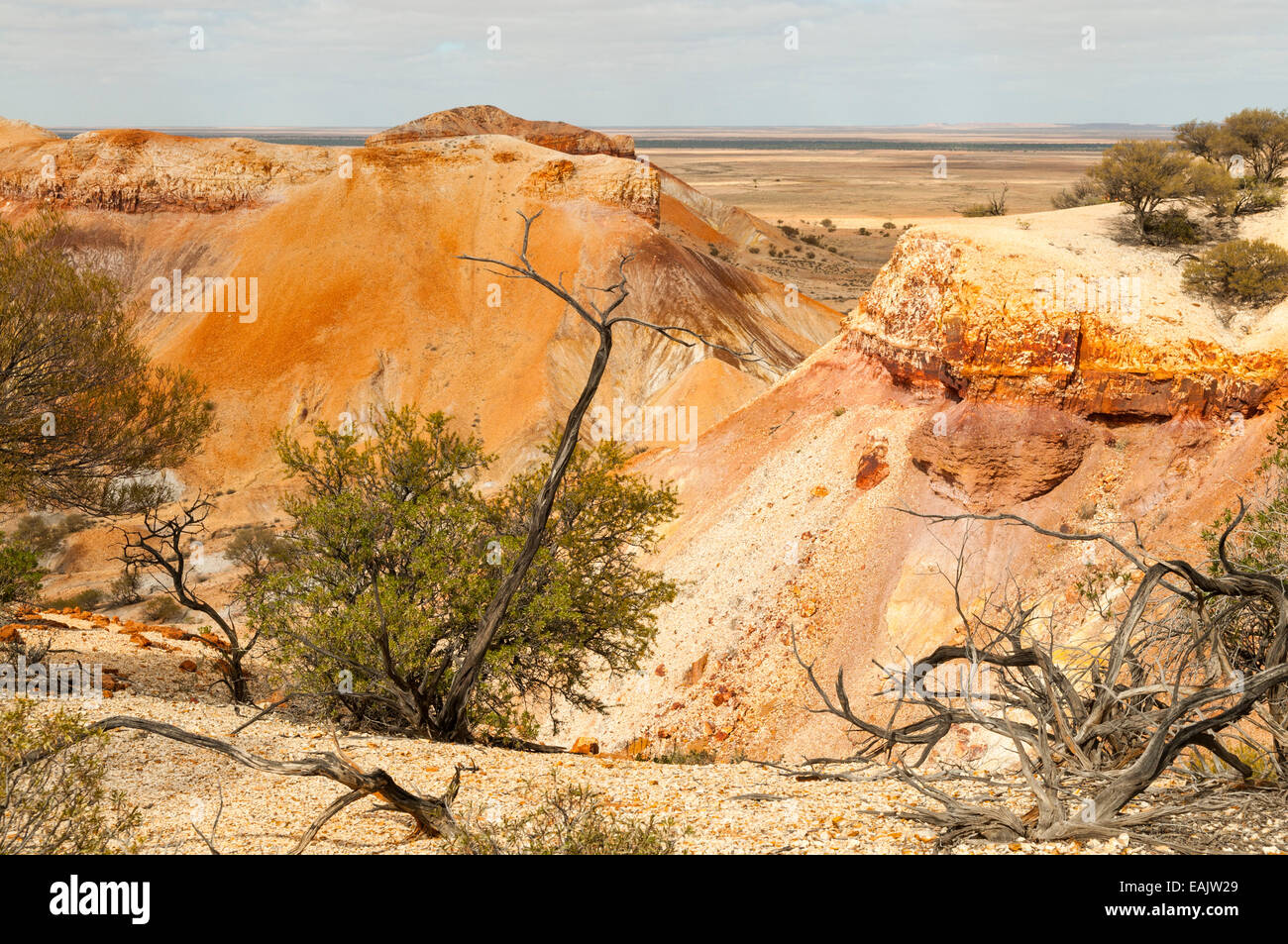 Painted desert australia hi-res stock photography and images - Alamy