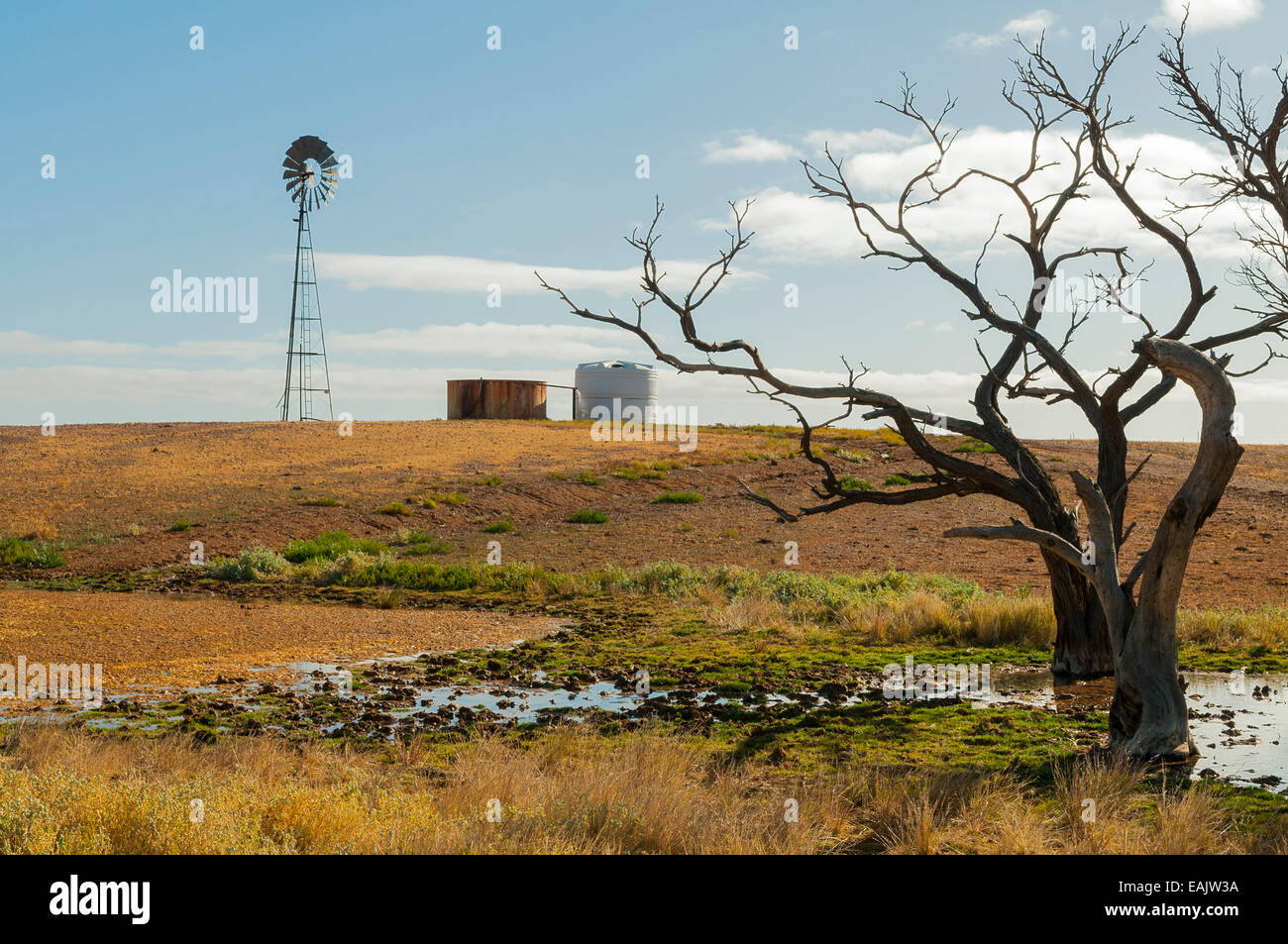 Windmill australia hi-res stock photography and images - Alamy