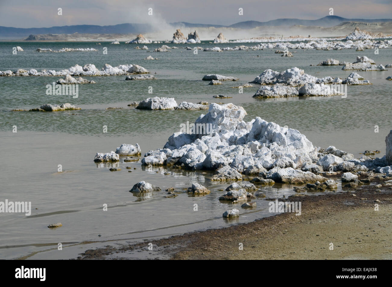 Old Marina Tufa, Mono Basin National Forest Scenic Area, Mono Lake Tufa ...