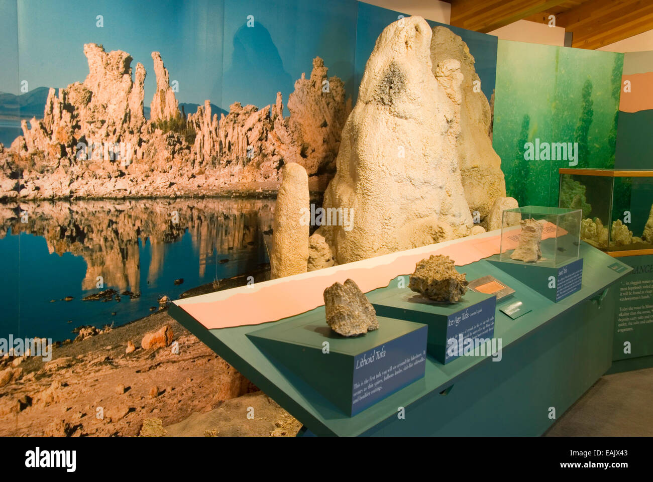 Visitor Center display, Mono Basin National Forest Scenic Area, Mono ...