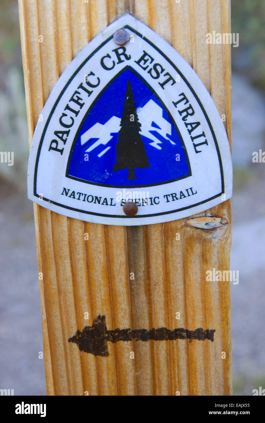 Pct symbol hi-res stock photography and images - Alamy