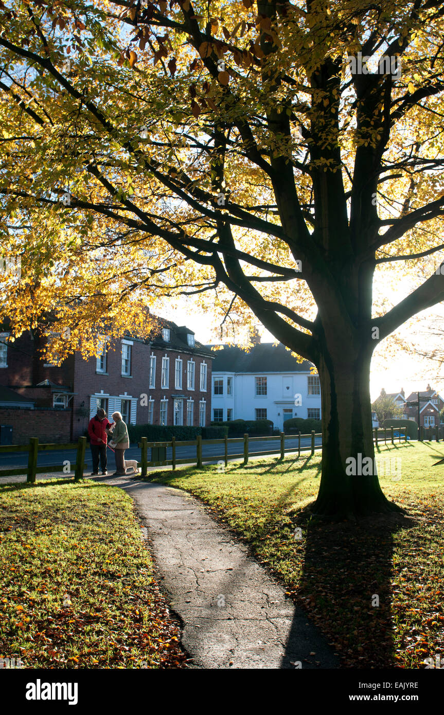 Abbey fields in kenilworth hi-res stock photography and images - Alamy