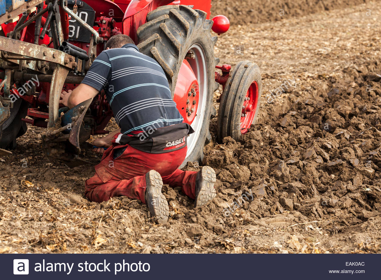 Plough Man Stock Photos & Plough Man Stock Images - Alamy