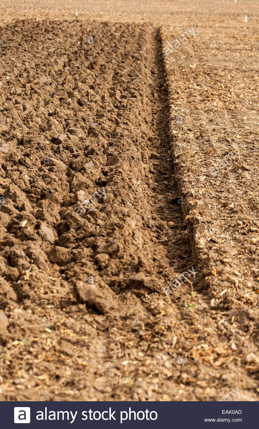 Furrows Stock Photos & Furrows Stock Images - Alamy