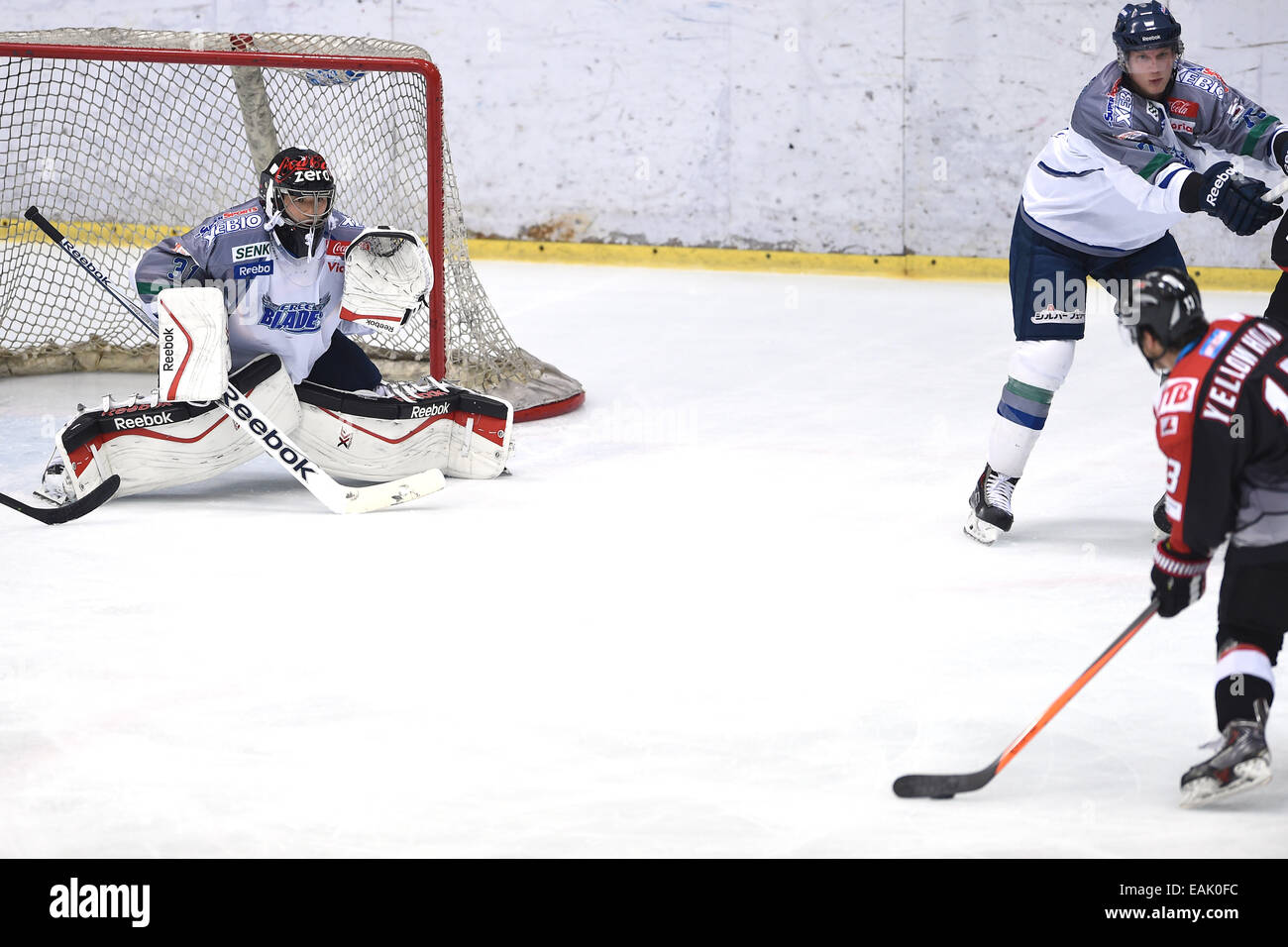 Colton Yellow Horn Hockey