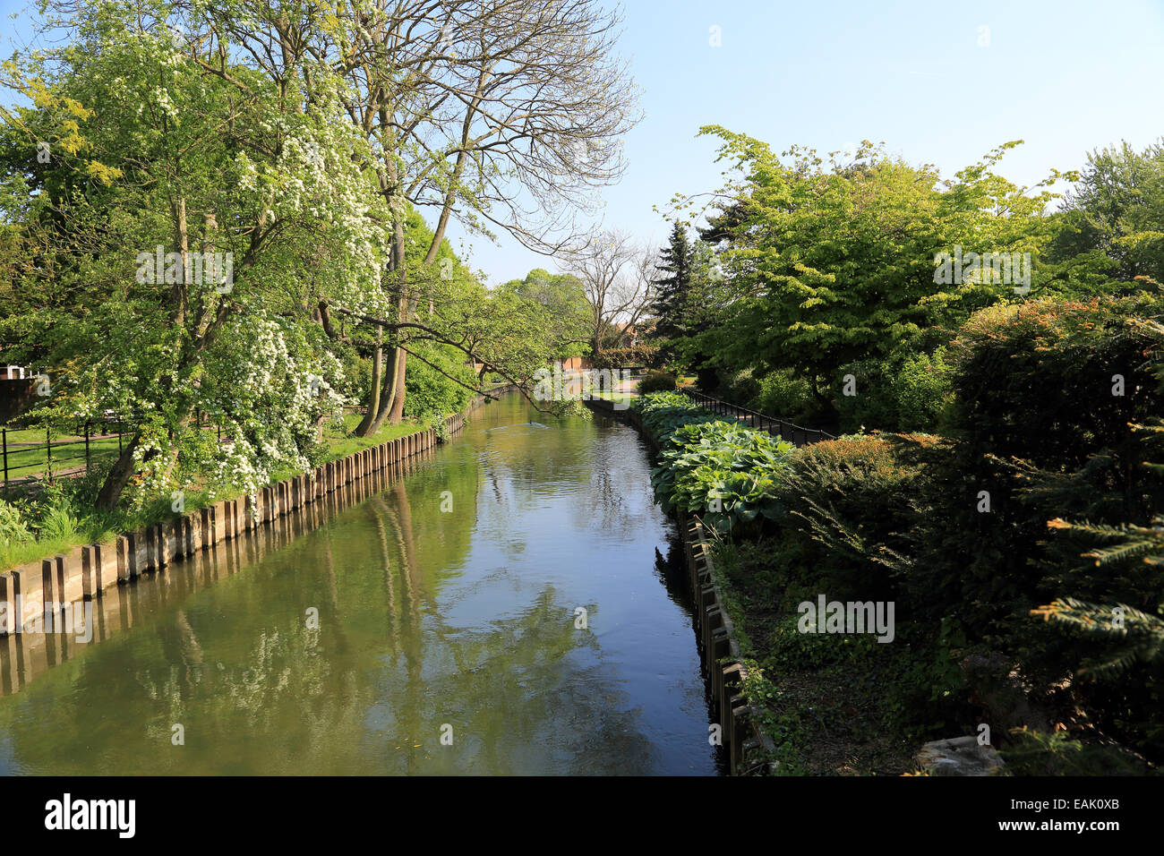 Westgate Gardens River Walk along Great Stour River, Canterbury, Kent ...