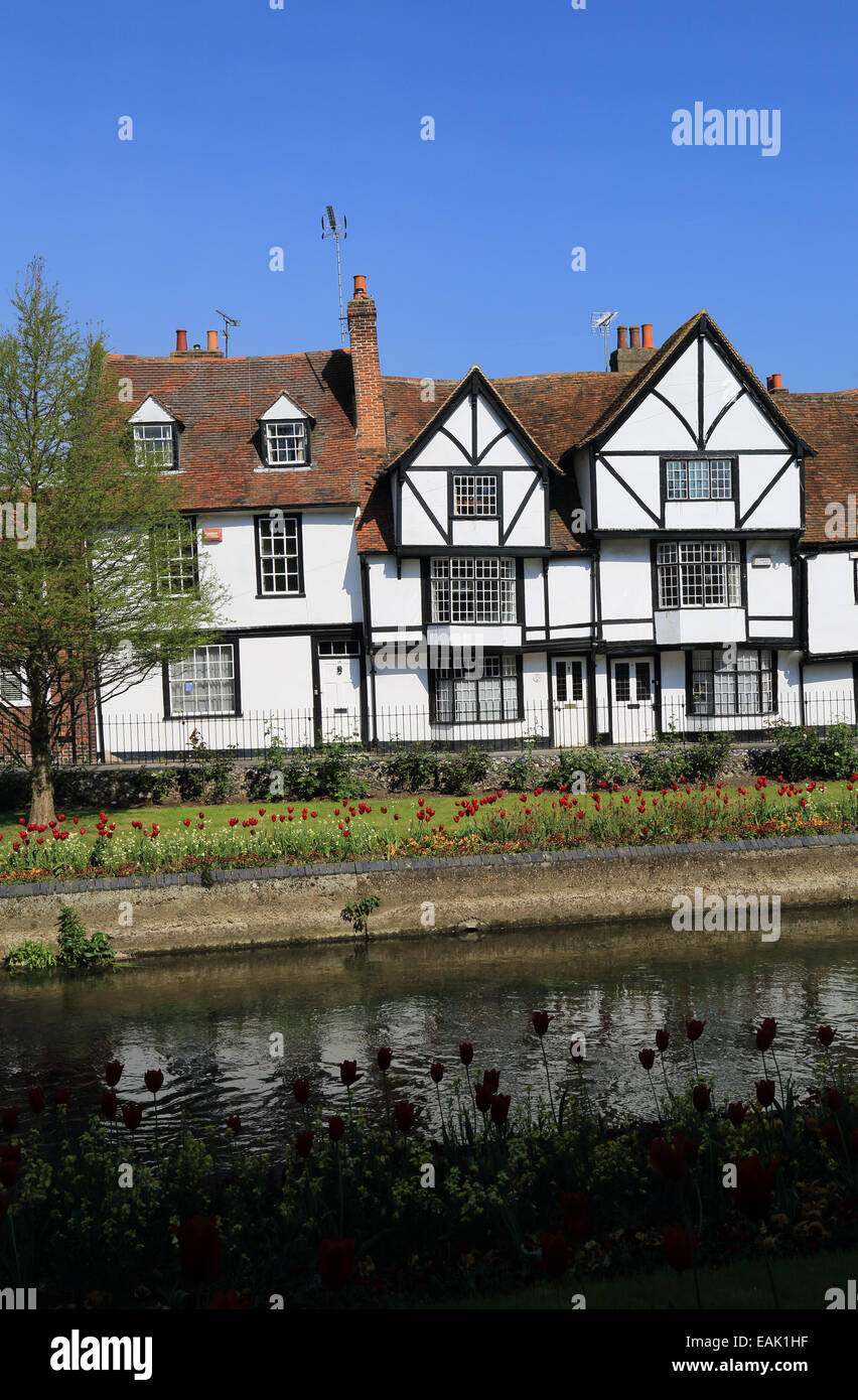 Riverside houses from Westgate Gardens River Walk along Great Stour ...