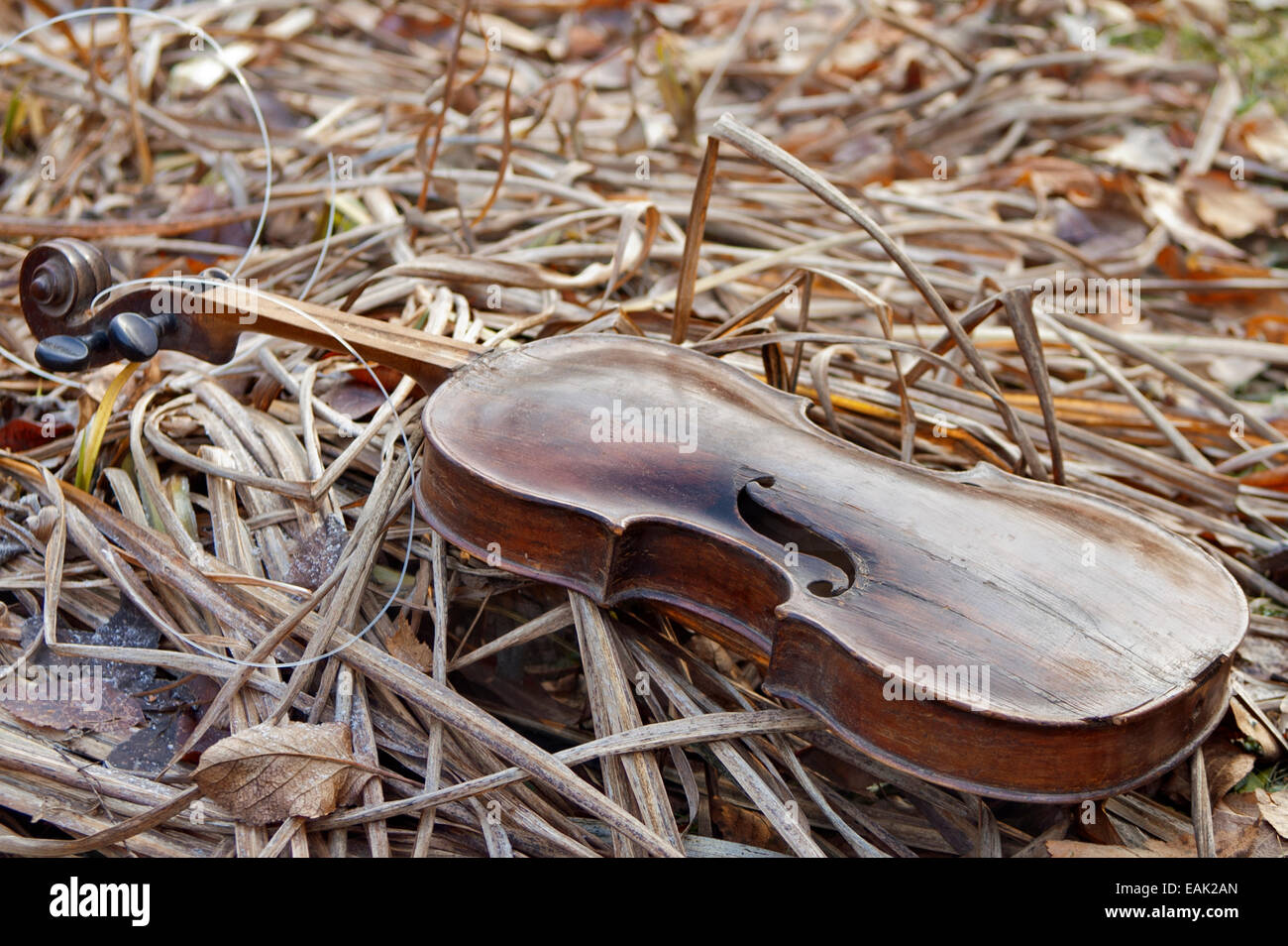 Sad violin hi-res stock photography and images - Alamy