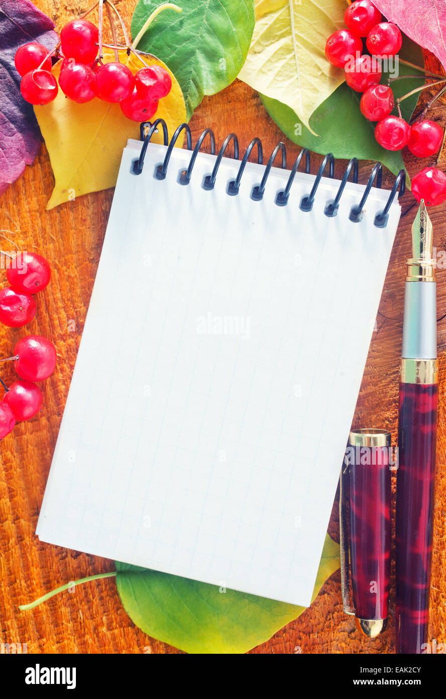 Leaves frame foliage framework fall hi-res stock photography and images ...