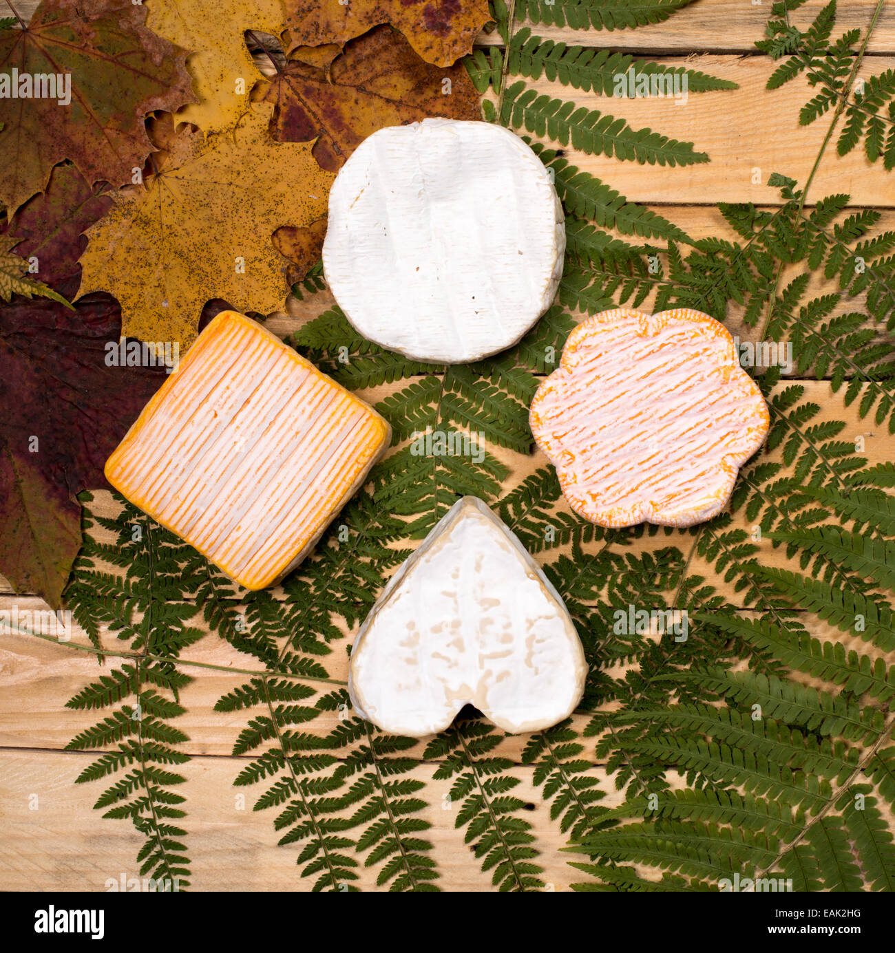 different French cheeses placed on à wooden table with autumn leaves ...