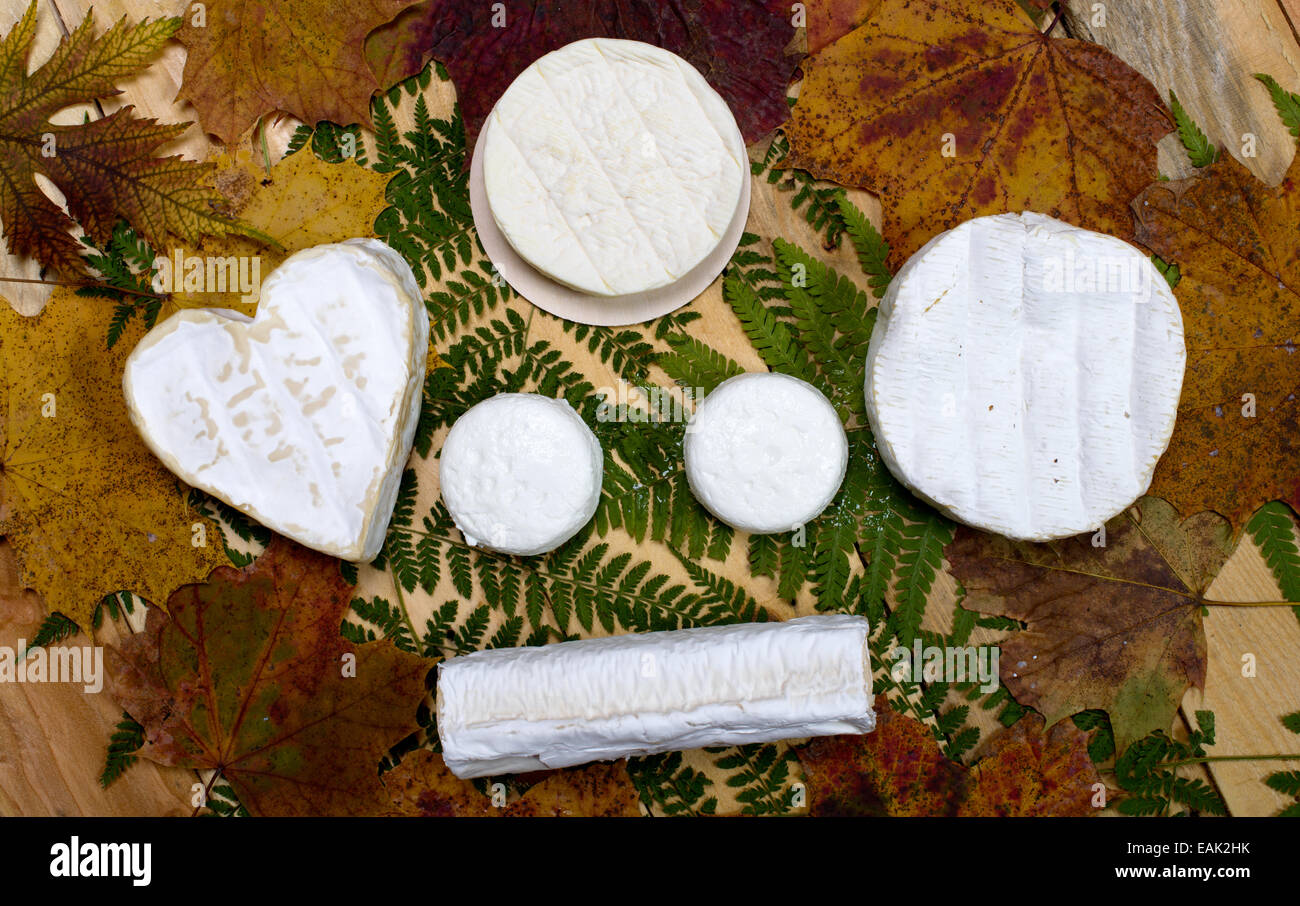 different French cheeses placed on à wooden table with autumn leaves ...