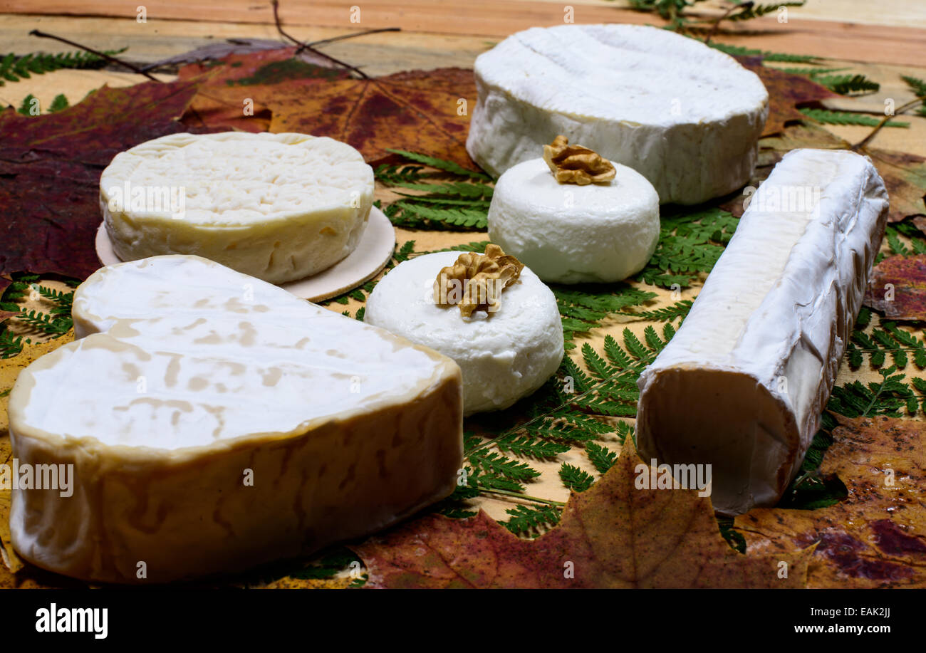 different French cheeses placed on à wooden table with autumn leaves ...