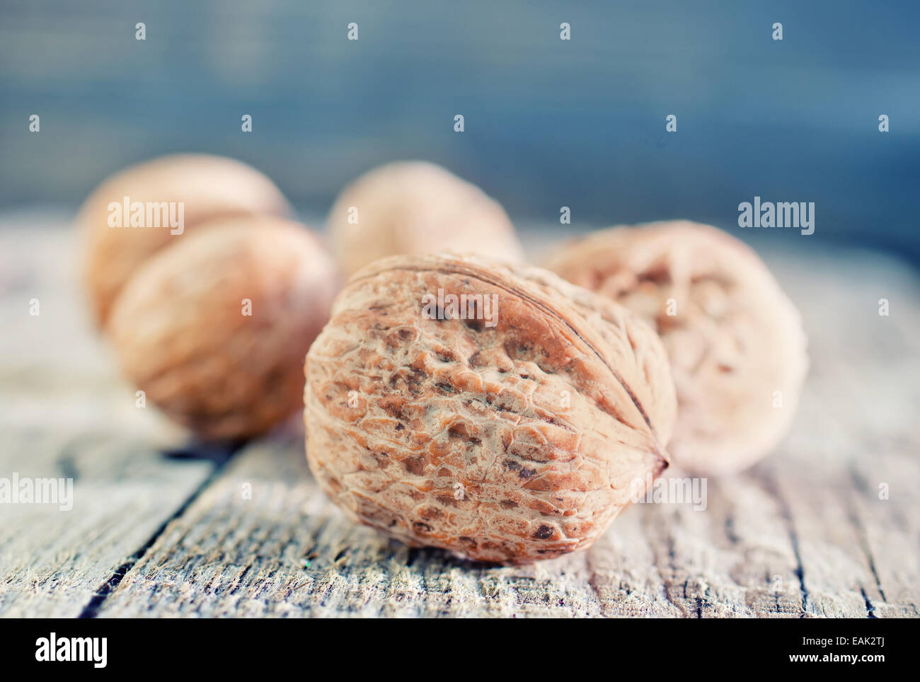 Wallnuts High Resolution Stock Photography and Images - Alamy