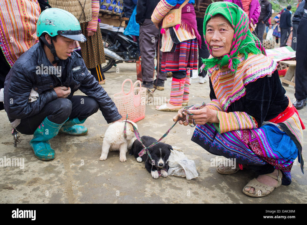 Vietnam bac ha dog in hi-res stock photography and images - Alamy