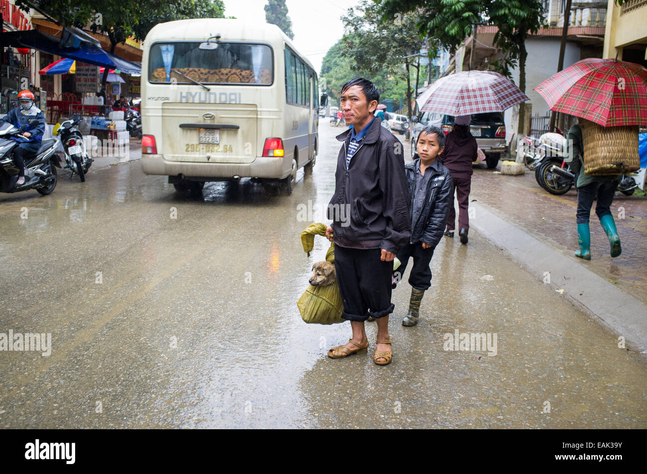 Vietnam bac ha dog in hi-res stock photography and images - Alamy