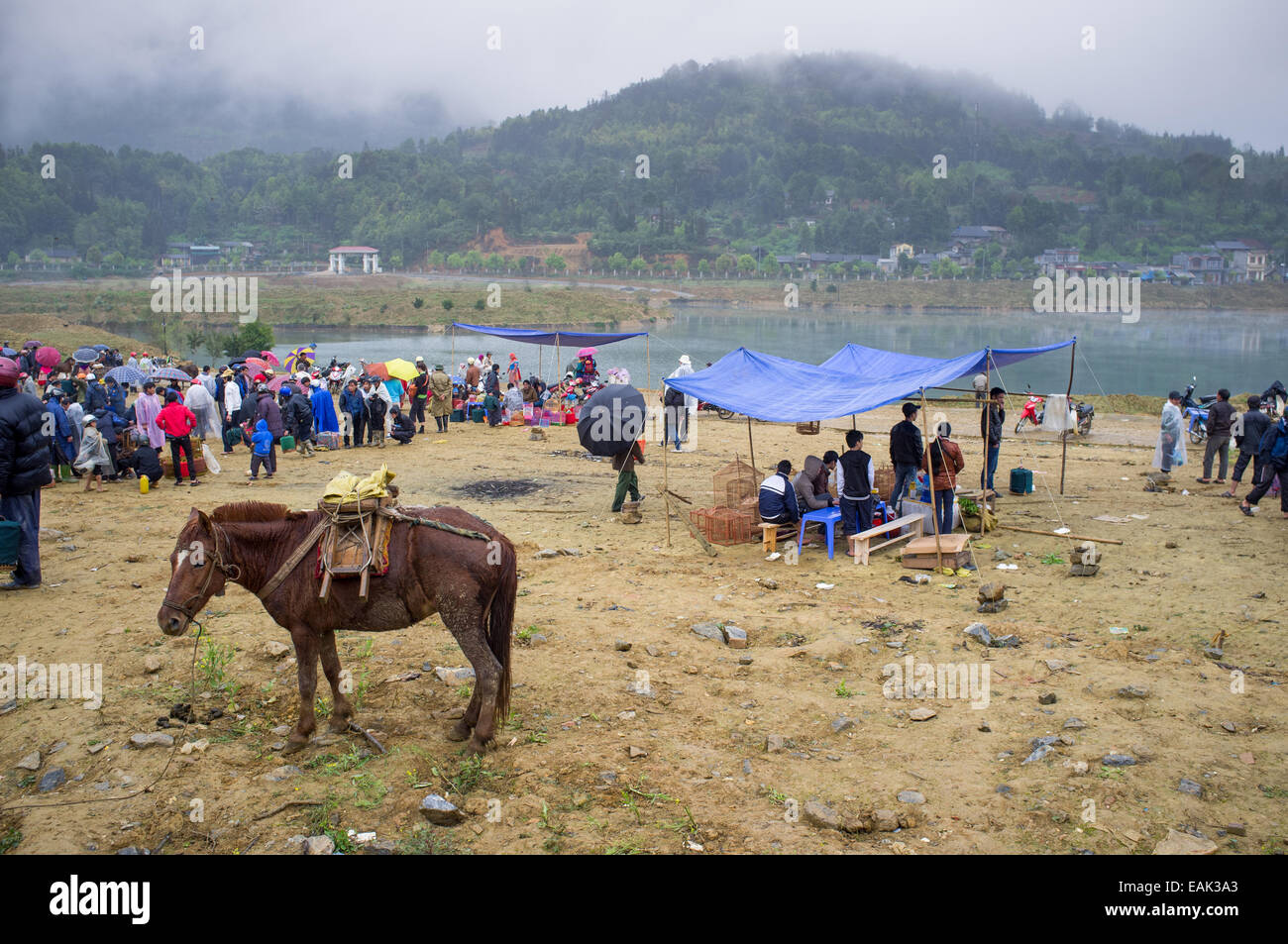 Bac ha market hmong horse hi-res stock photography and images - Alamy