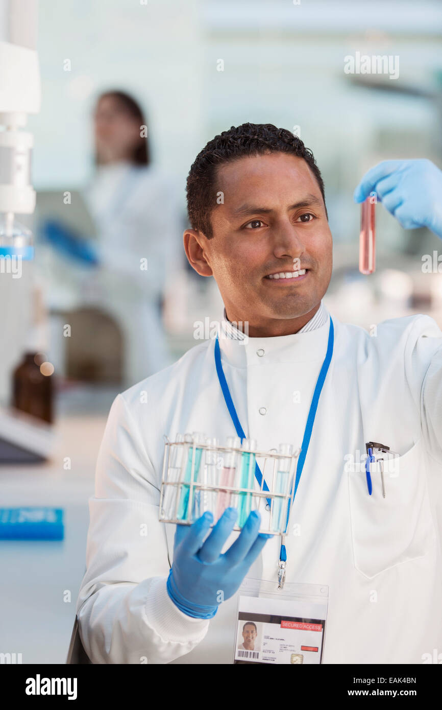 Scientist examining sample in test tube in laboratory Stock Photo - Alamy