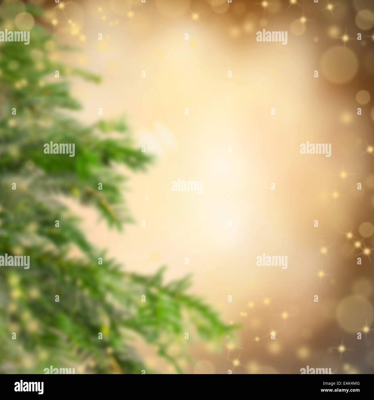 Abstract blur christmas background with fir tree Stock Photo - Alamy