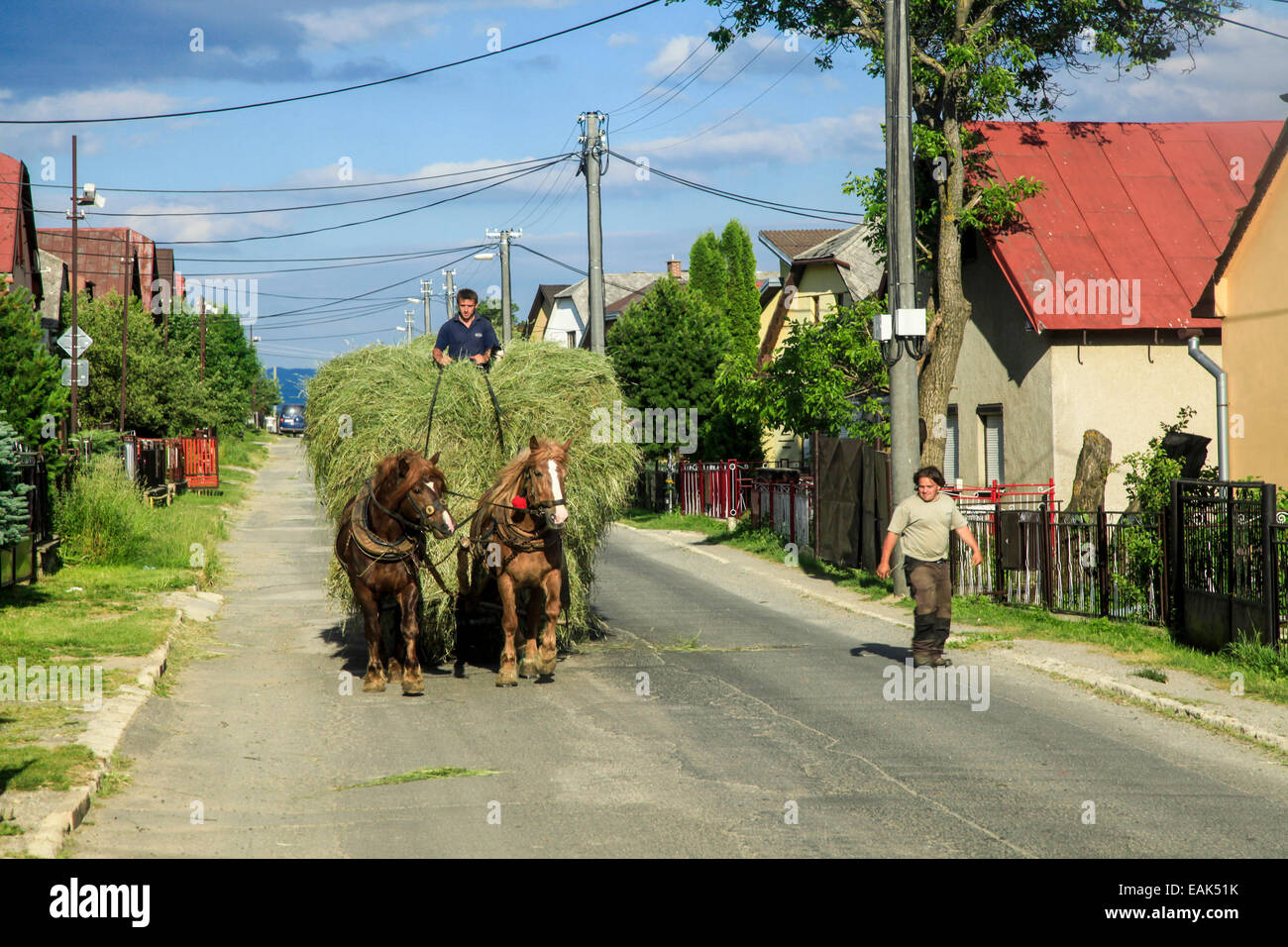 Slovakia, Banska Bystrica region, Horses and cart Stock Photo - Alamy