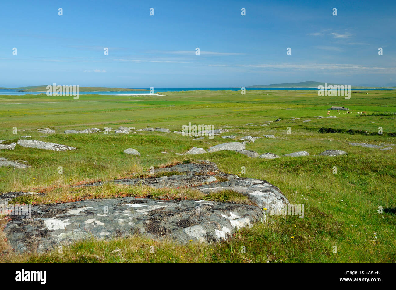 Machair Croft Farmland, Lingay Strand, Clachan Shannda, North Uist ...