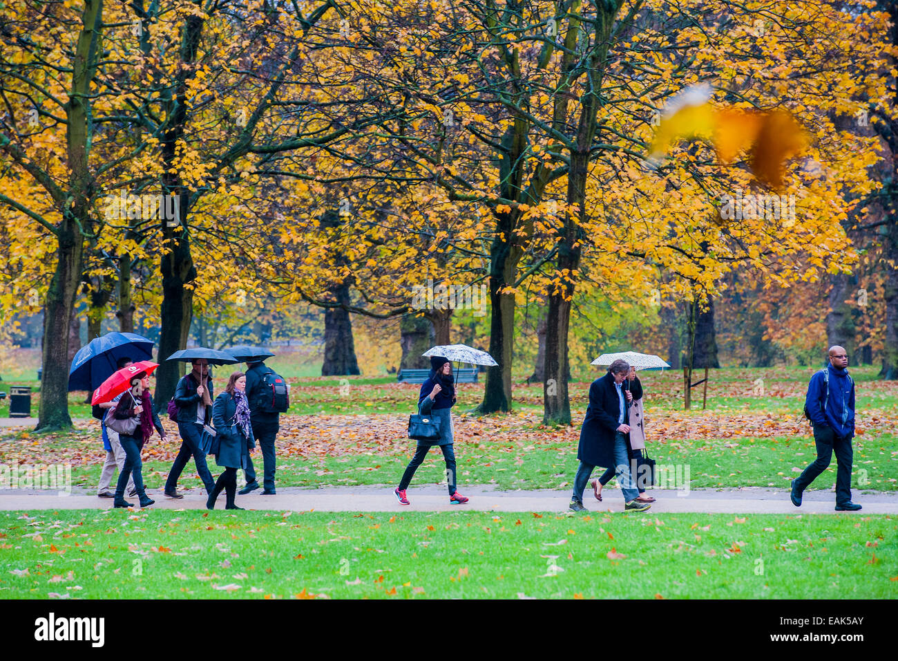 November weather uk hi-res stock photography and images - Alamy