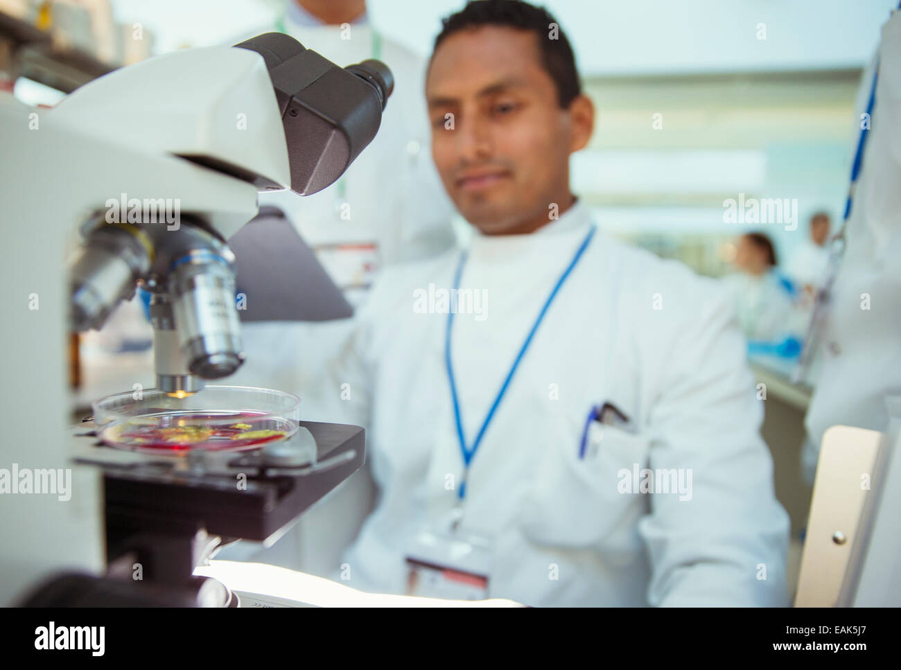Scientist with sample under microscope in laboratory Stock Photo - Alamy