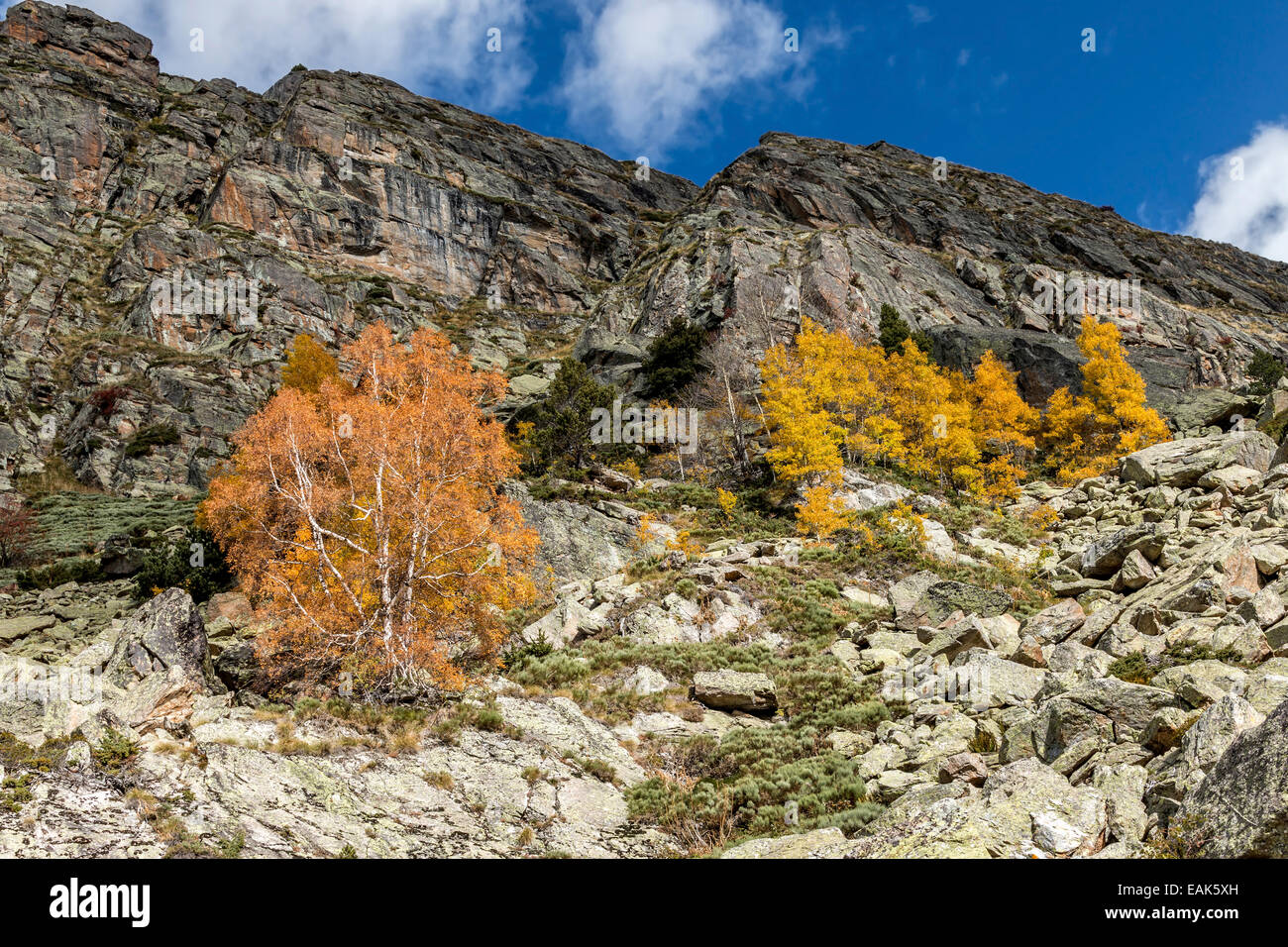 Beautiful mountain peaks tree hi-res stock photography and images - Alamy