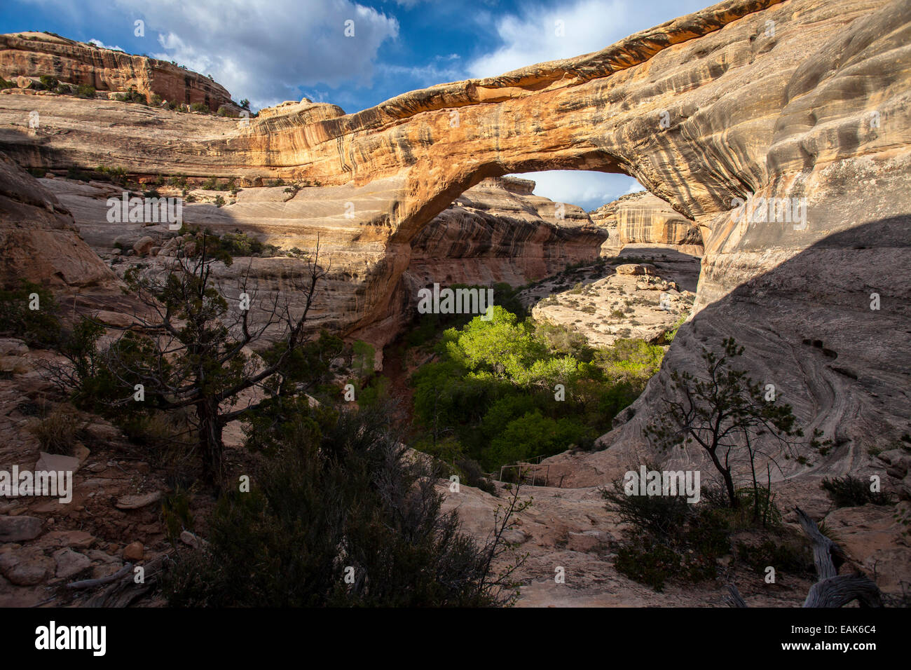 View of Sipapu Bridge at Natural Bridges National Monument in Utah ...