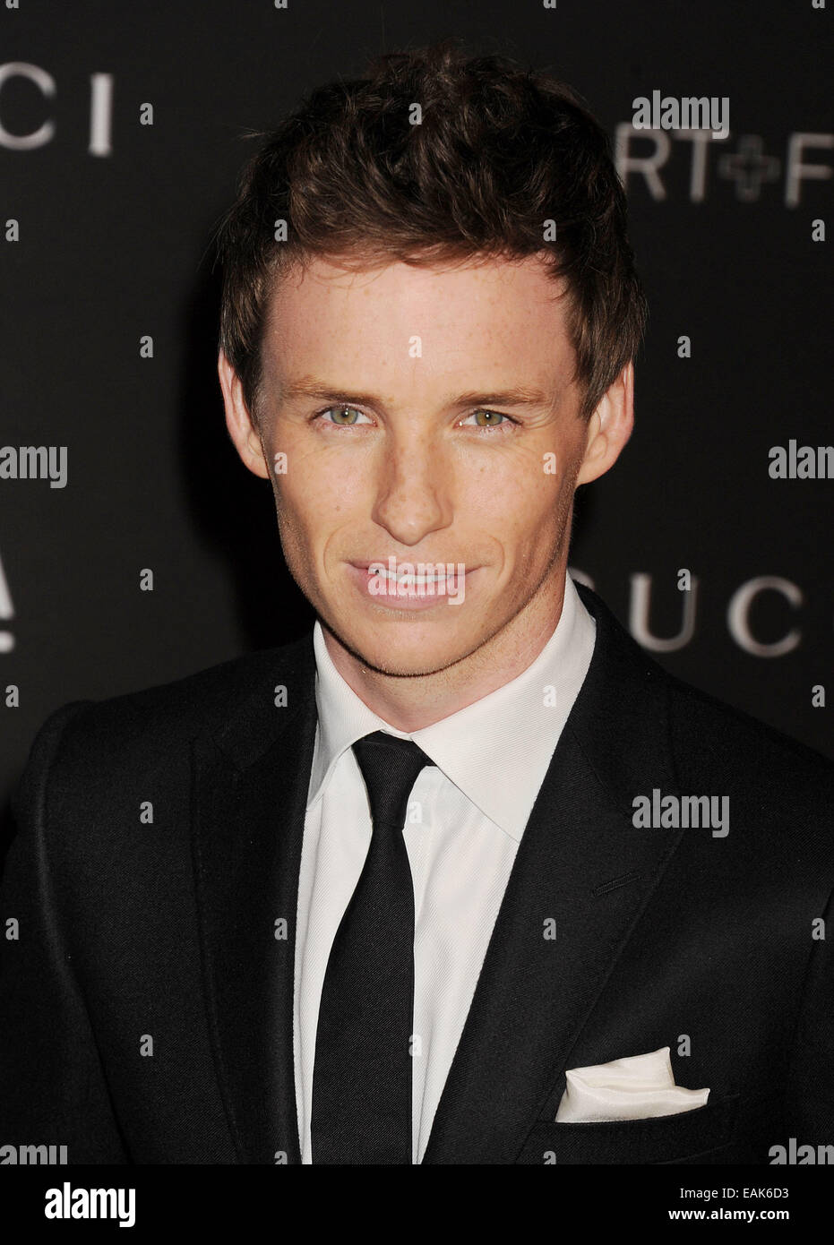 EDDIE REDMAYNE UK film actor in October 2014. Photo Jeffrey Mayer Stock ...