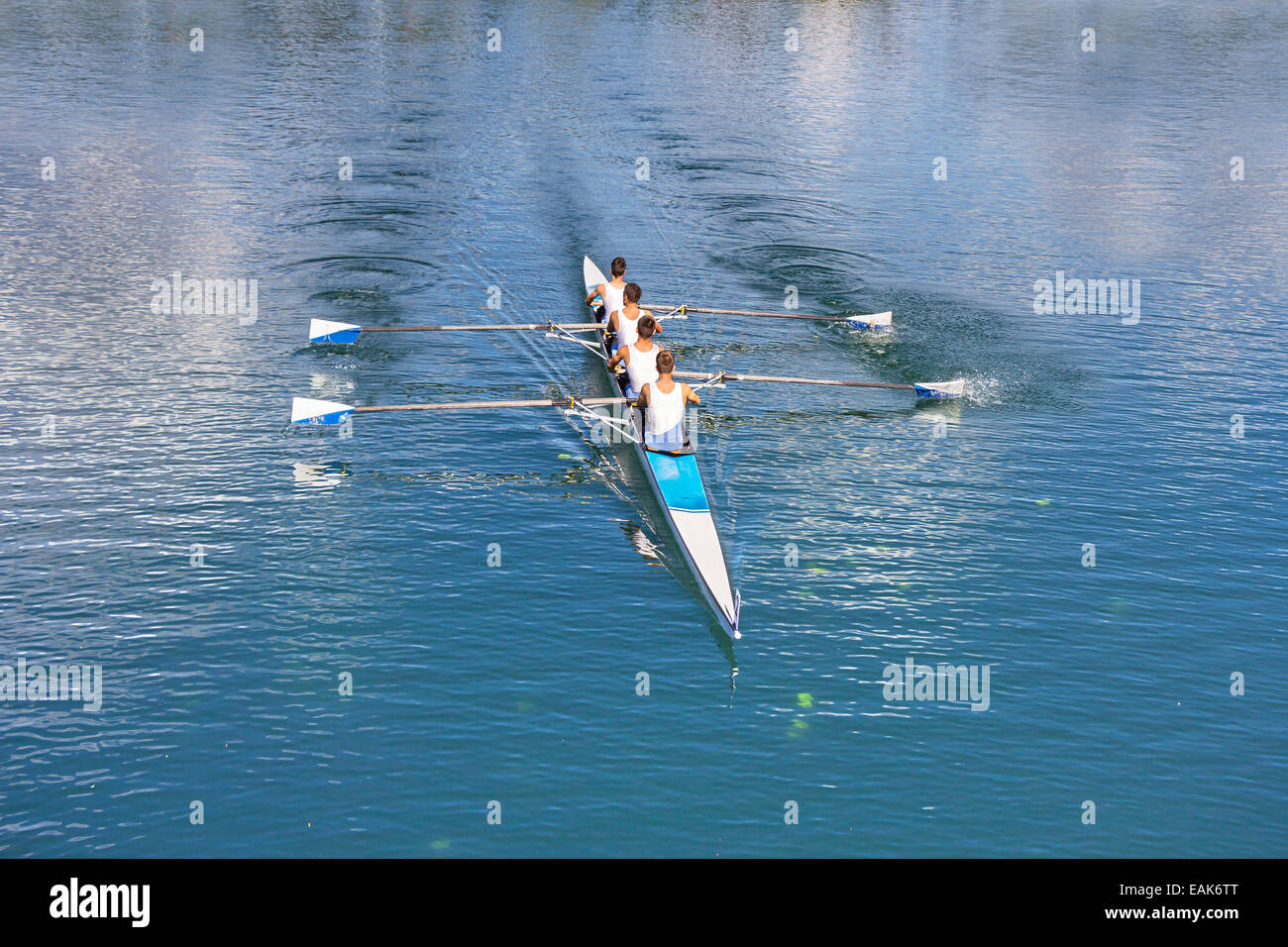 Four crew rowers in boat hi-res stock photography and images - Alamy