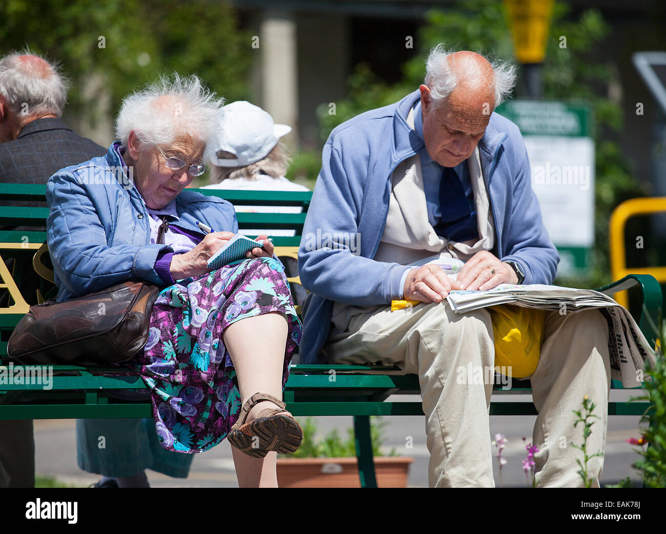 A retired white European couple age 70 plus sitting on a park bench ...