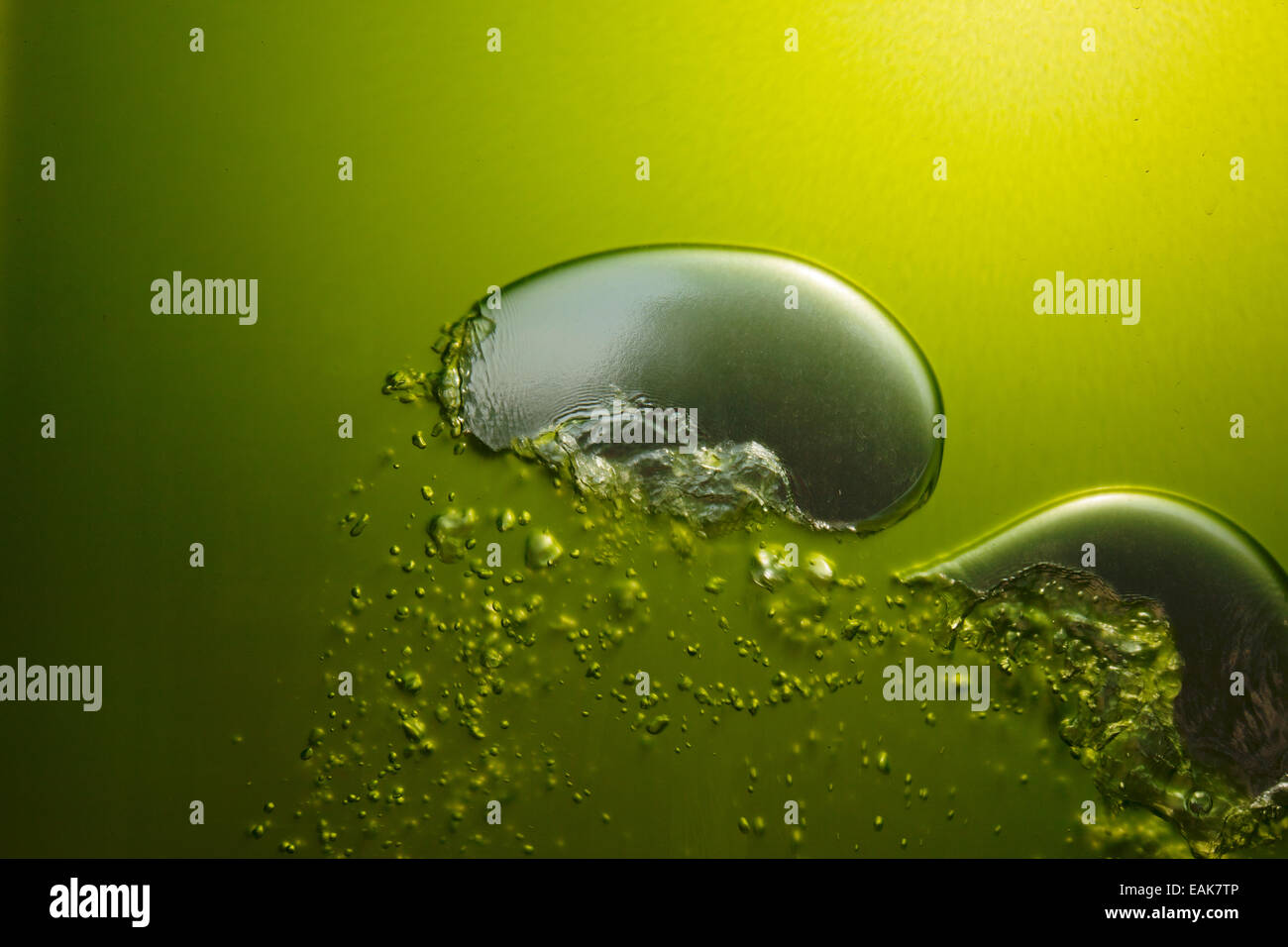 Rising air bubbles, Algenhaus, Algae House, International Building ...