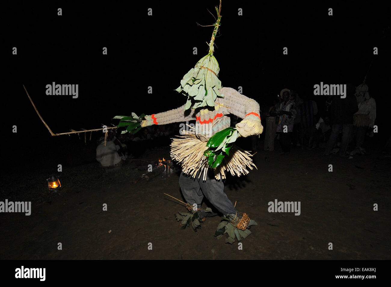 Pygmies of the Bakola people celebrating with song and dance, at night ...