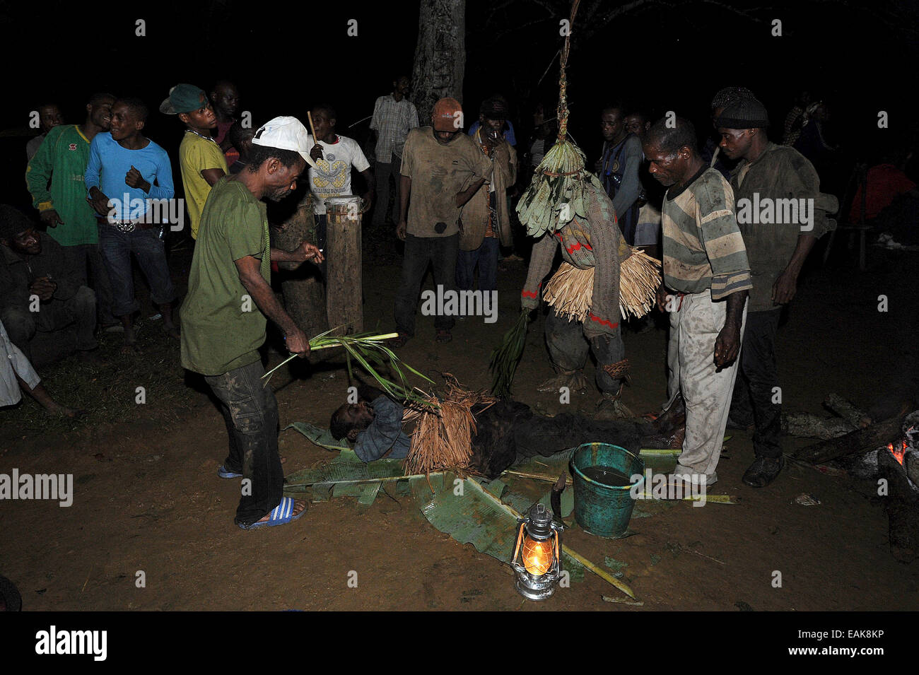 Pygmies of the Bakola people performing a healing ritual, at night ...