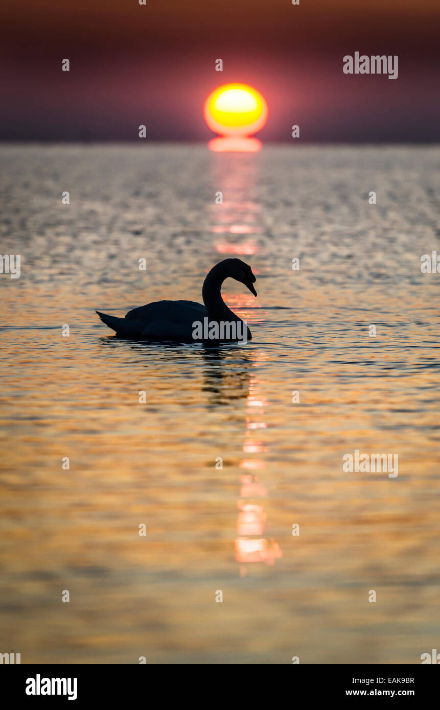 Haffkrug hi-res stock photography and images - Alamy