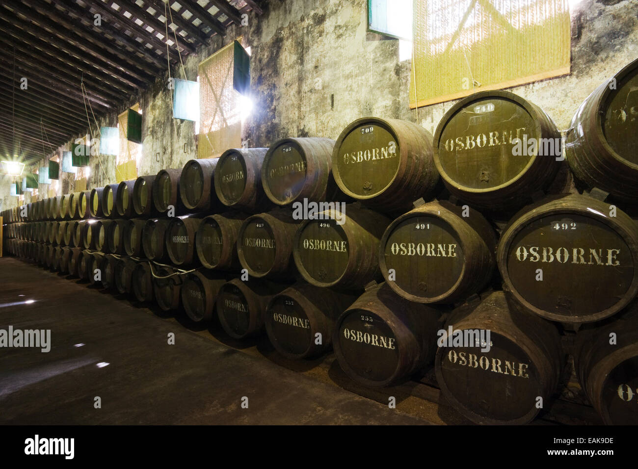 Oak barrels in a wine cellar in the Osborne Bodega, El Puerto de Santa ...