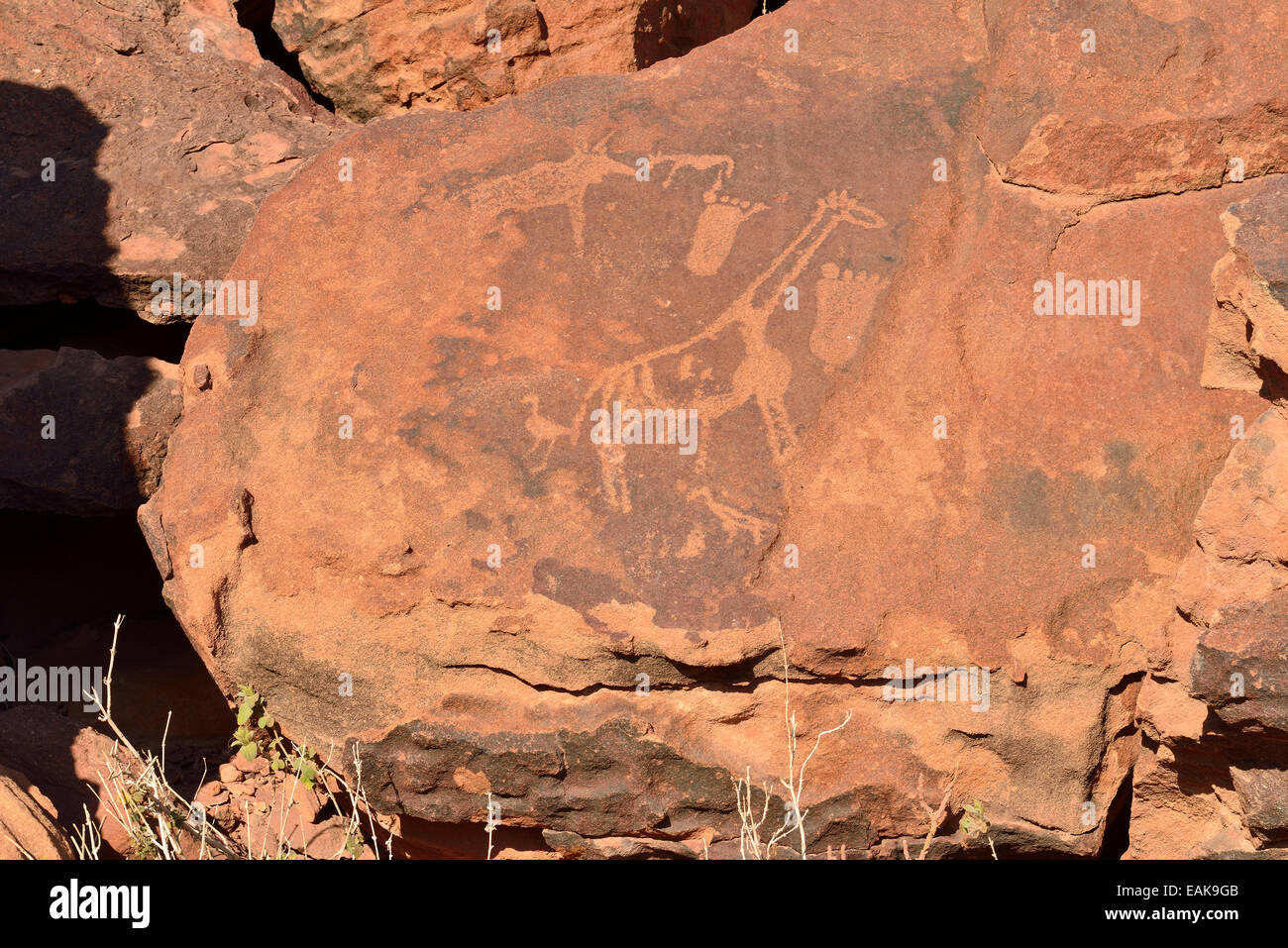 Neolithic petroglyphs hi-res stock photography and images - Alamy