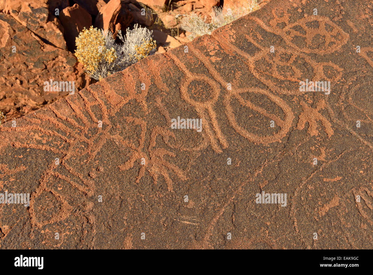 Neolithic petroglyphs of Twyfelfontein, Unesco World Heritage Site ...