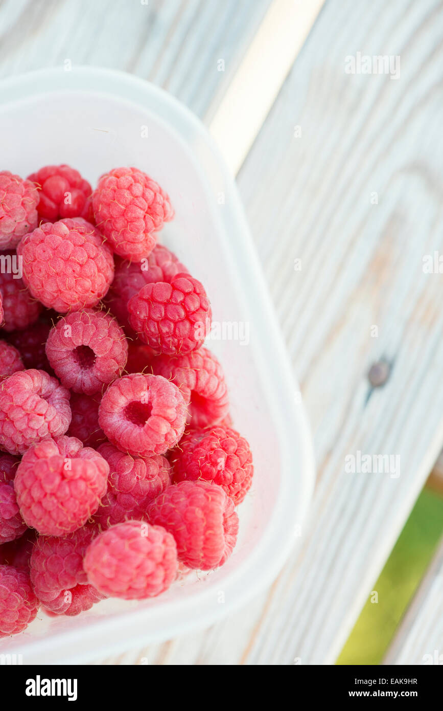 Close up of ripe raspberries in plastic box on garden table Stock Photo ...