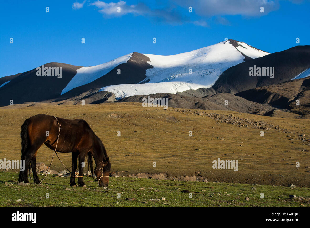 Uul hi-res stock photography and images - Alamy