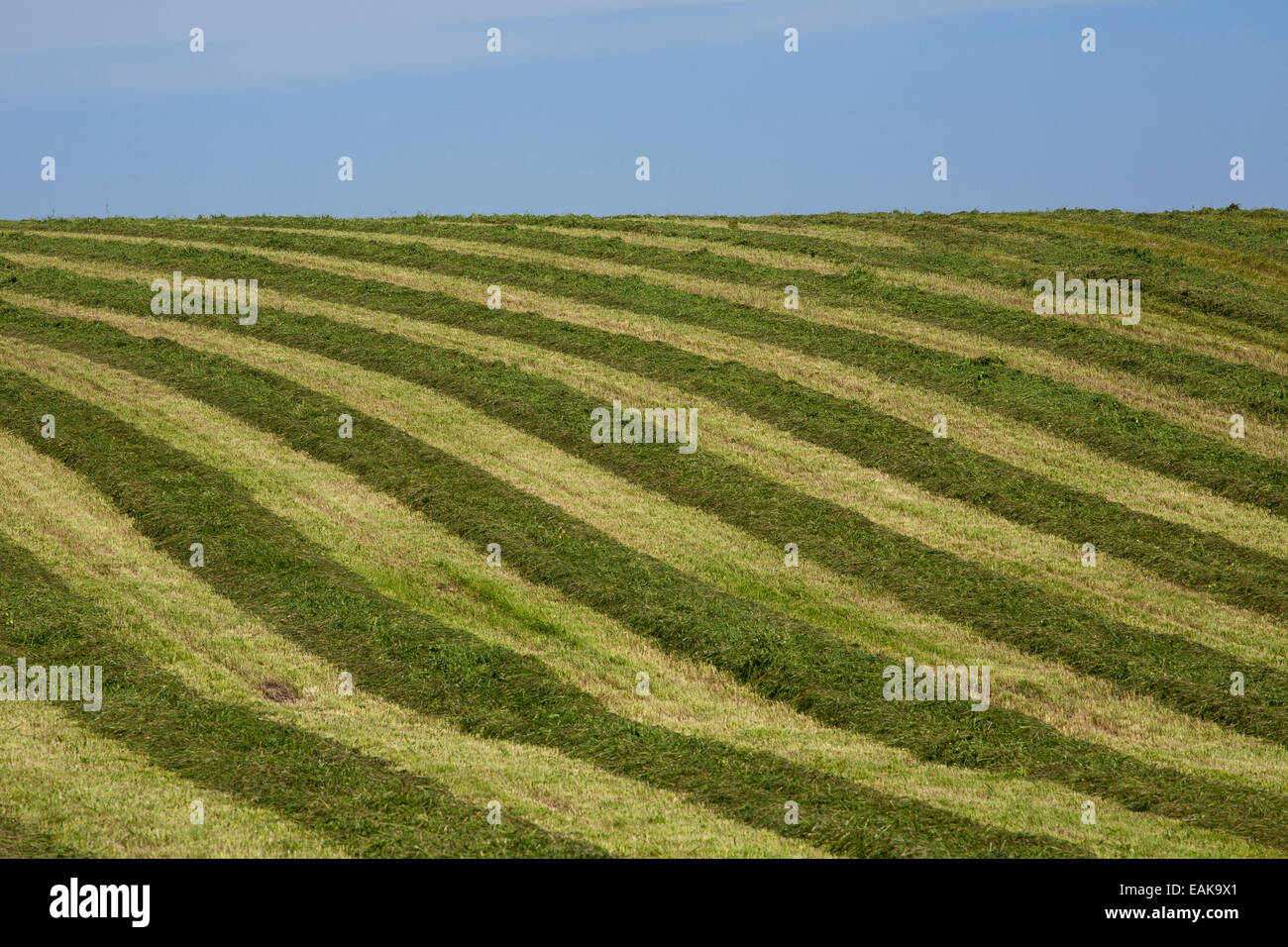 Raked hi-res stock photography and images - Alamy