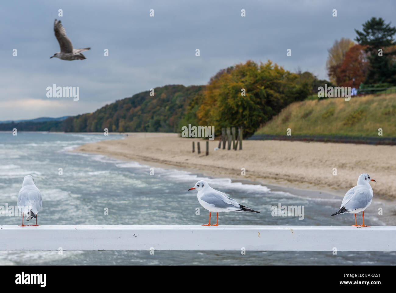 Gdynia orlowo pier hi-res stock photography and images - Alamy