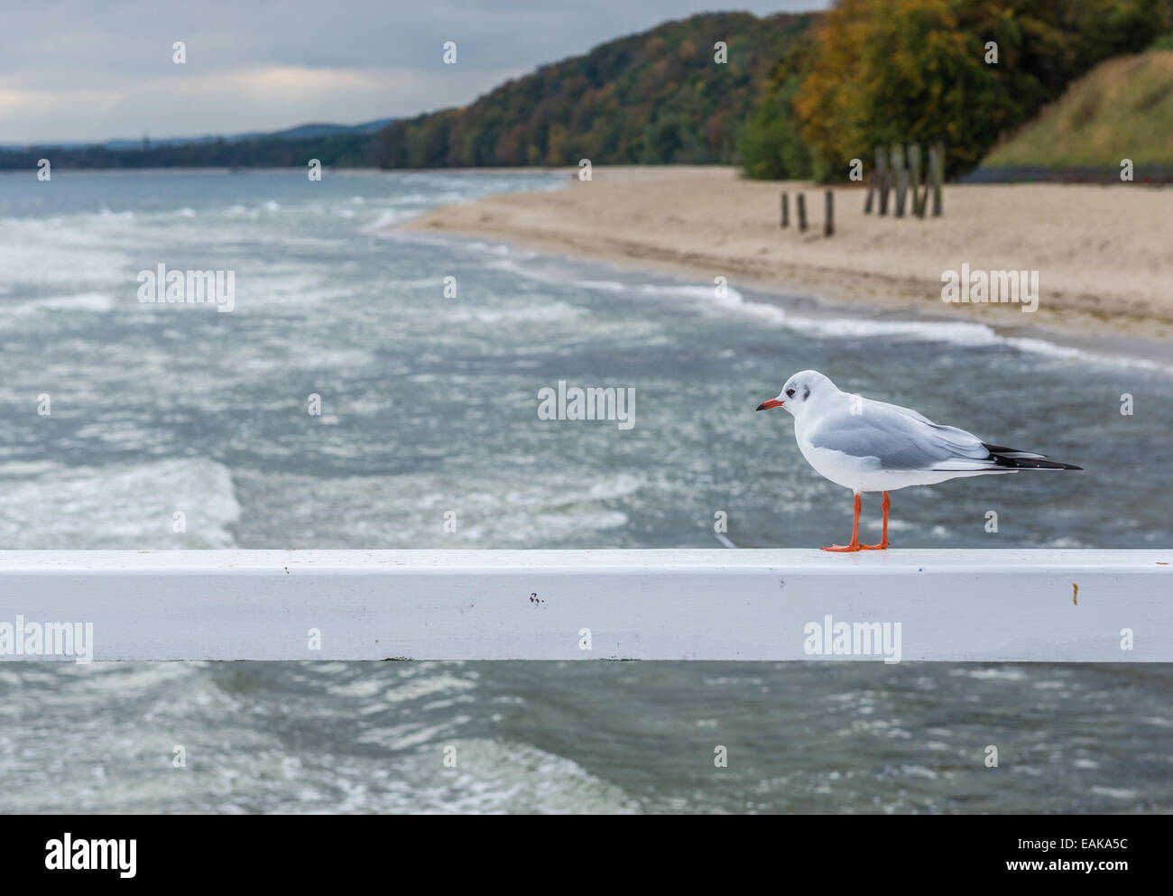 Gdynia orlowo pier hi-res stock photography and images - Alamy